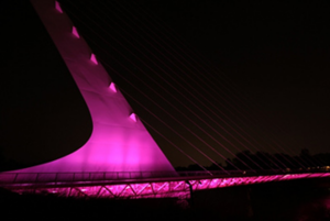 The Pink Sundial Bridge - Nor-Cal Think Pink